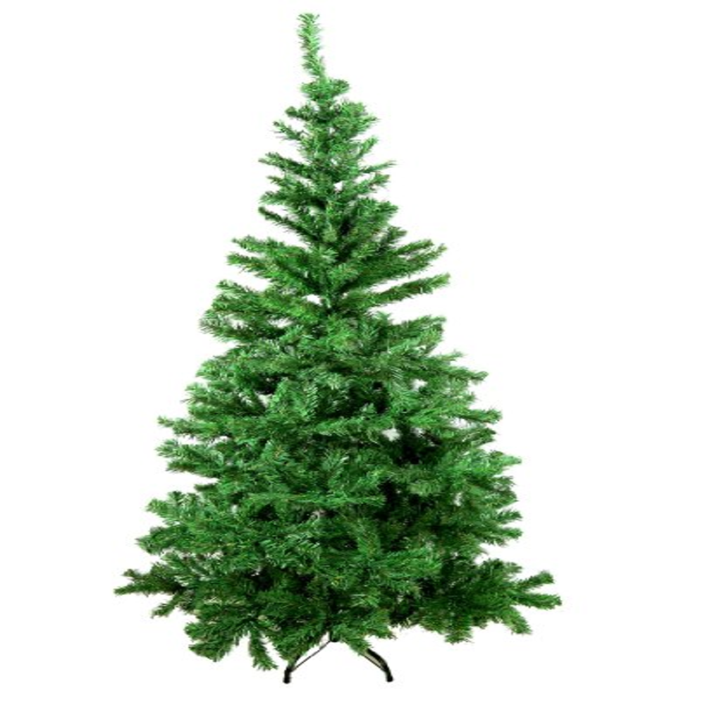 Plain Green Tree | Christmas Trees Sale